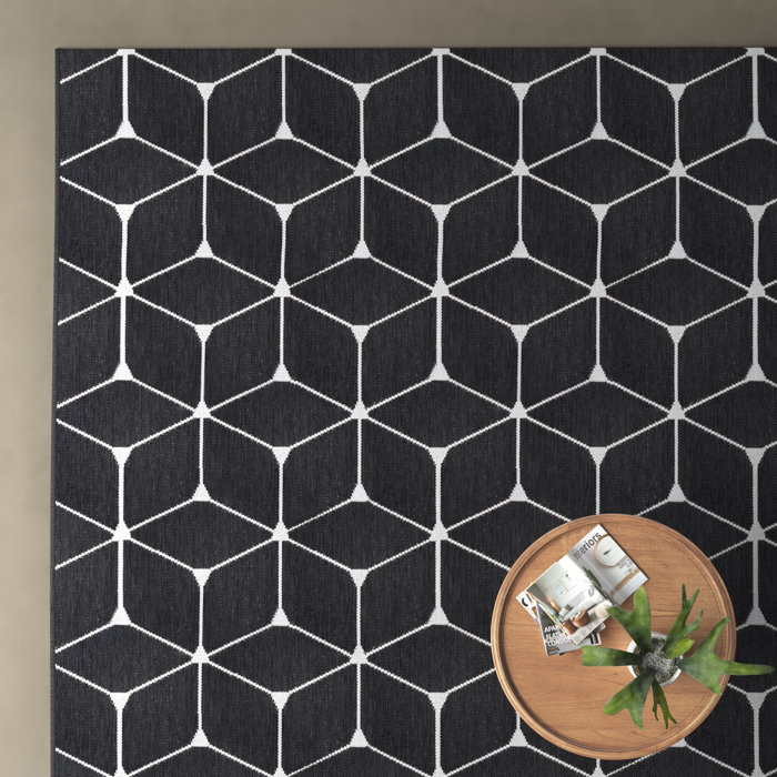 AllModern Abbi Black Rug & Reviews | Wayfair