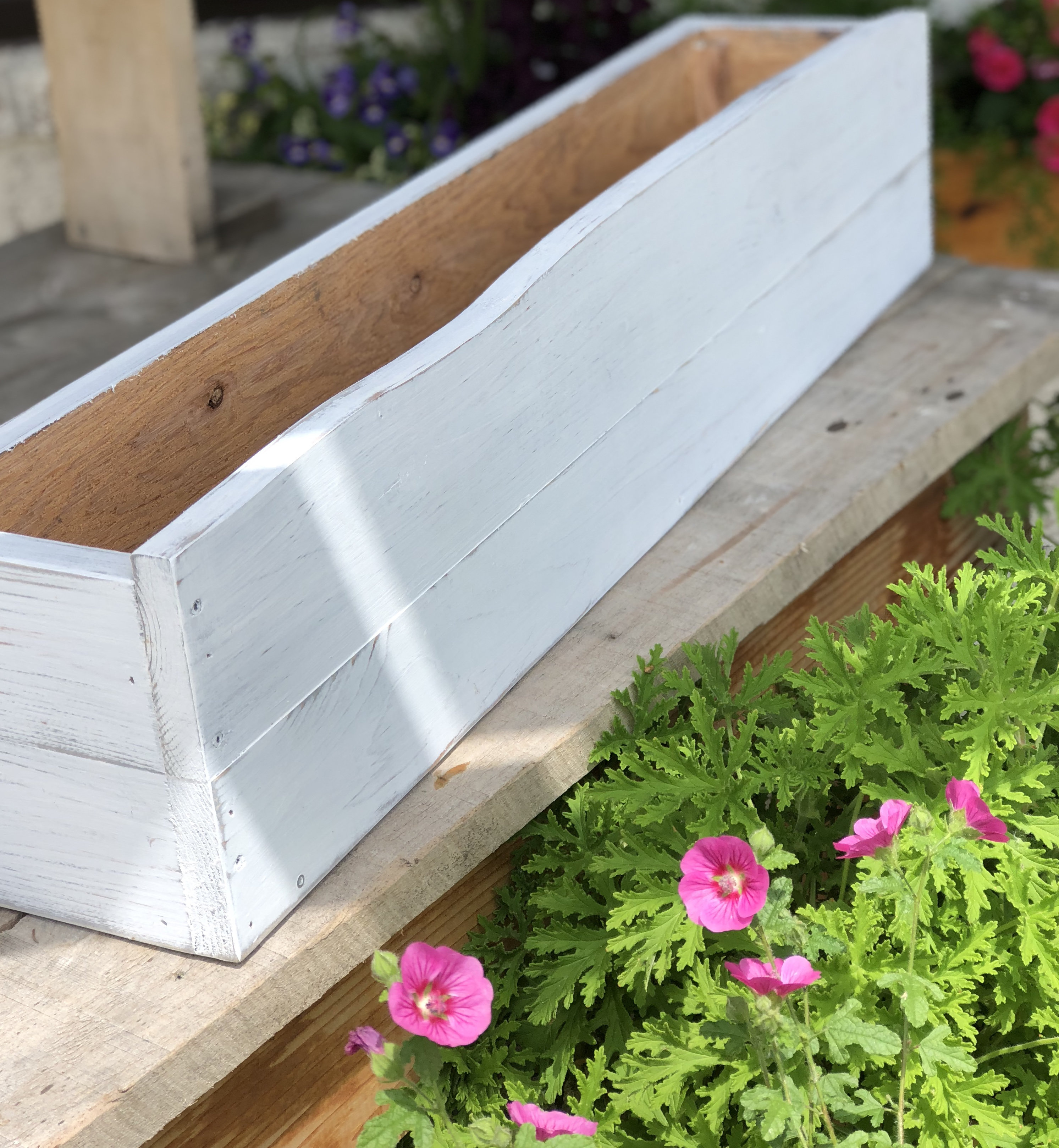 Highland Dunes Imogen Wood Planter Box - Wayfair Canada