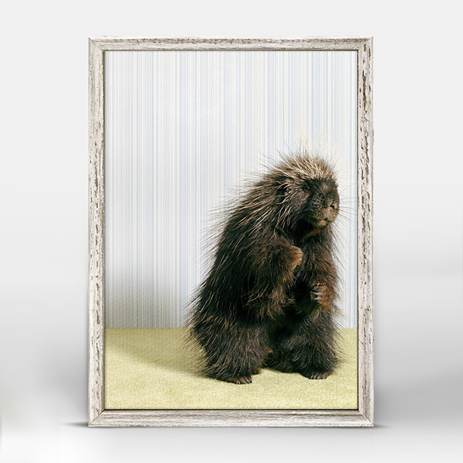 GreenBox Art 'Porcupine on Gray' by Catherine Ledner Framed ...