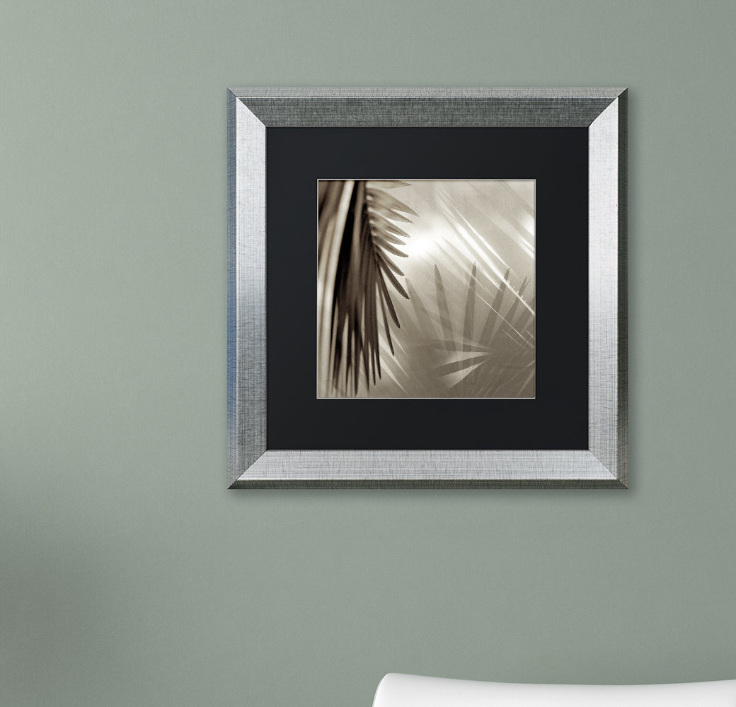 Bay Isle Home™ Alan Blaustein 'Florison LV' Framed Photographic Print ...