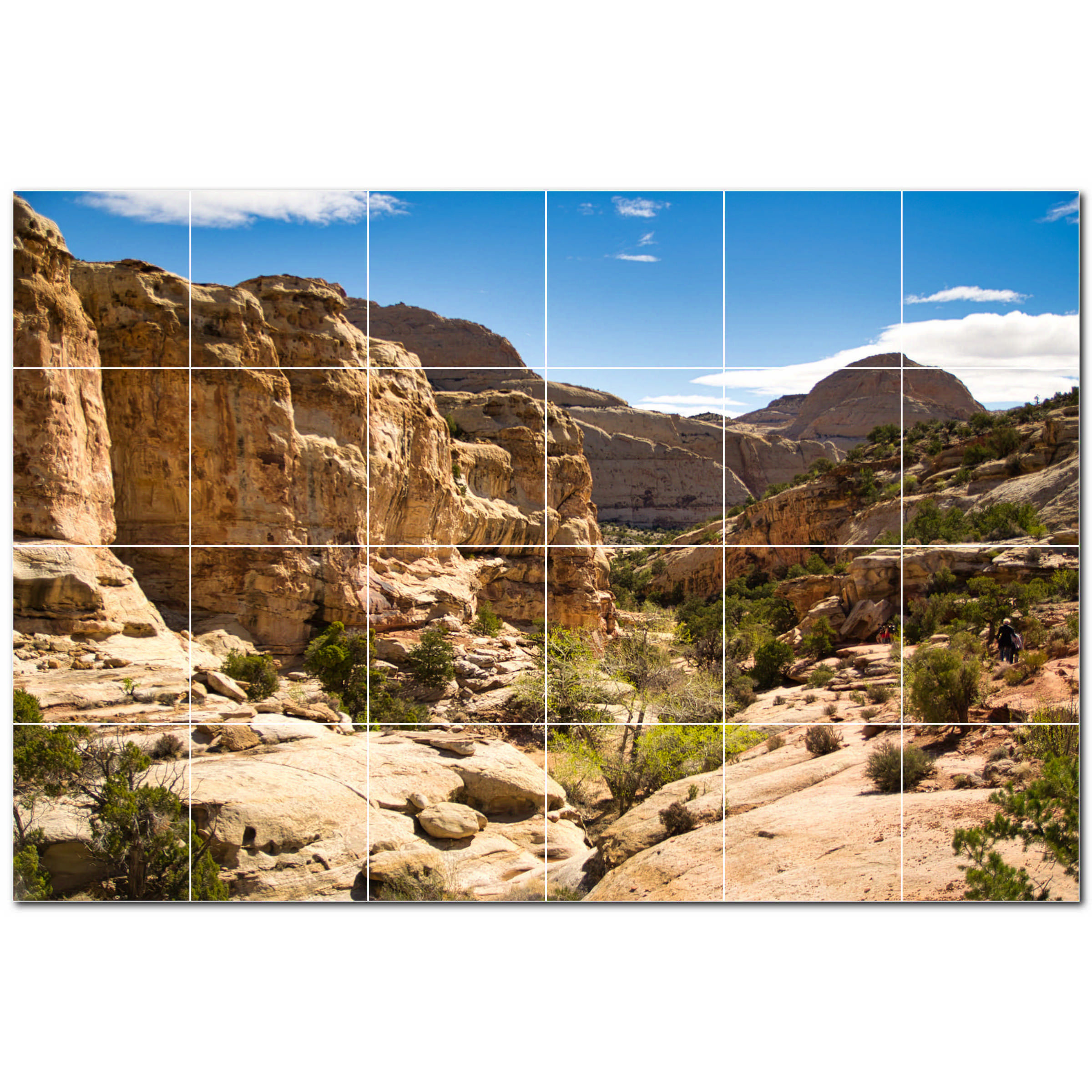 Picture-Tiles.com Canyon Photo 12'' x 12'' Satin Ceramic Decorative ...