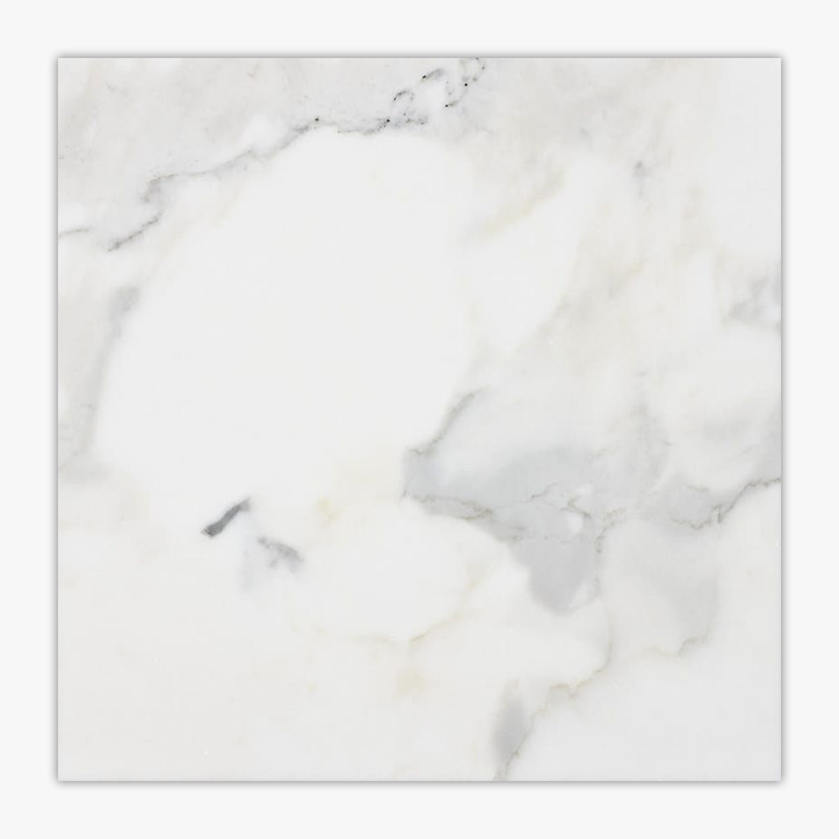 Calacatta Tile 18" x 18" Marble Singular Wall & Floor Tile | Wayfair