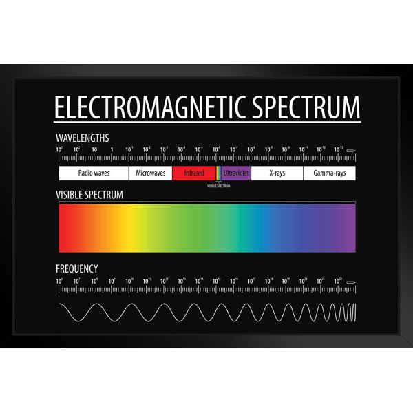 Trinx Laboratory Electromagnetic Spectrum and Visible Light Educational ...