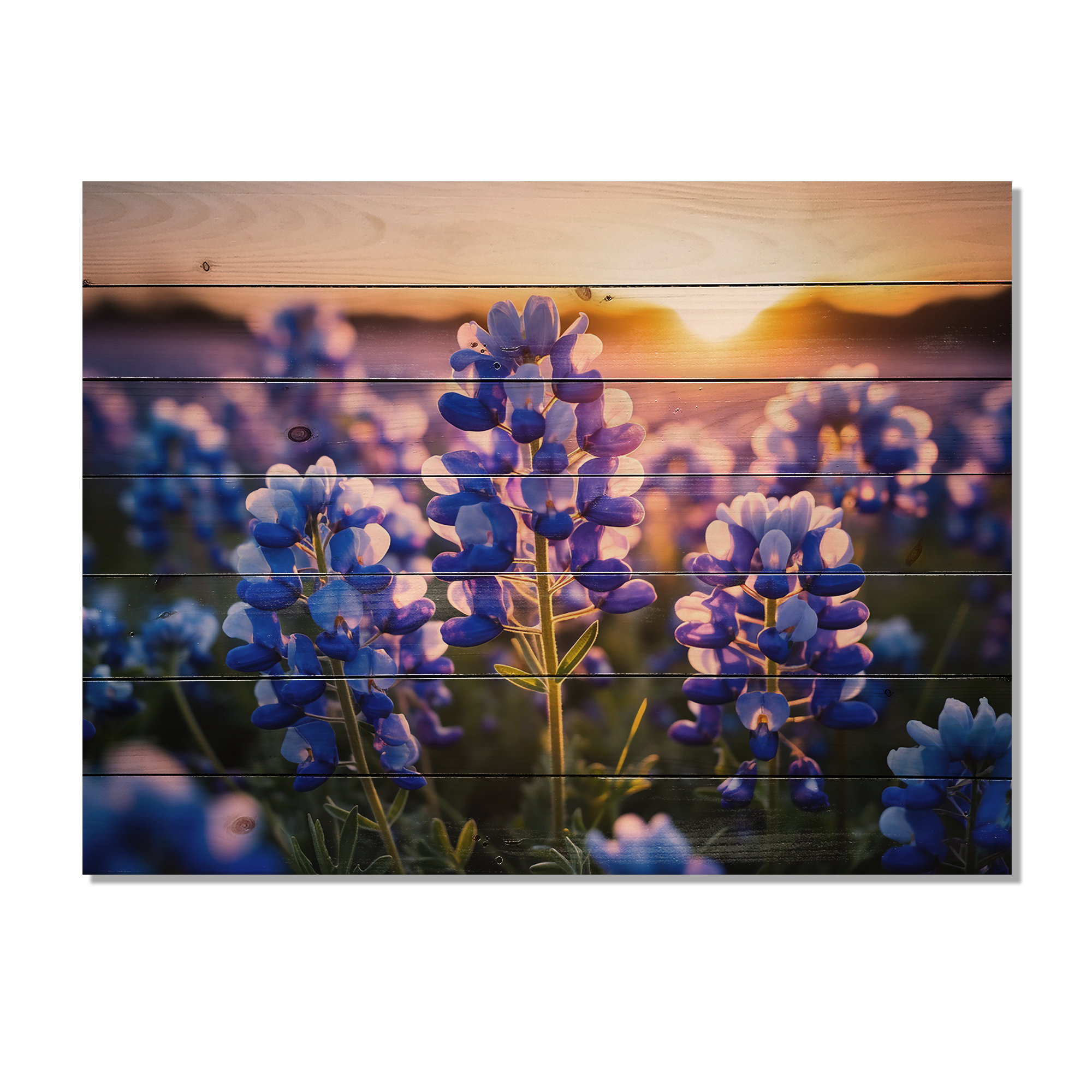 Latitude Run® Blue Bonnets Field Photo I - Unframed Print on Wood ...