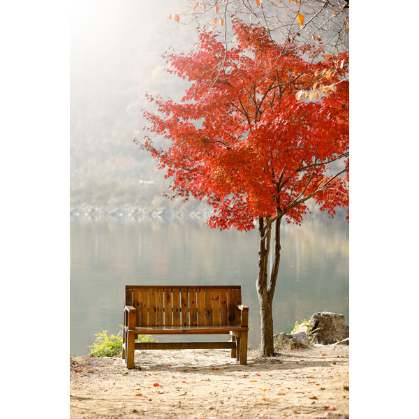 Marlow Home Co. Autumn Scenery by Inho Lee - Wrapped Canvas Print ...