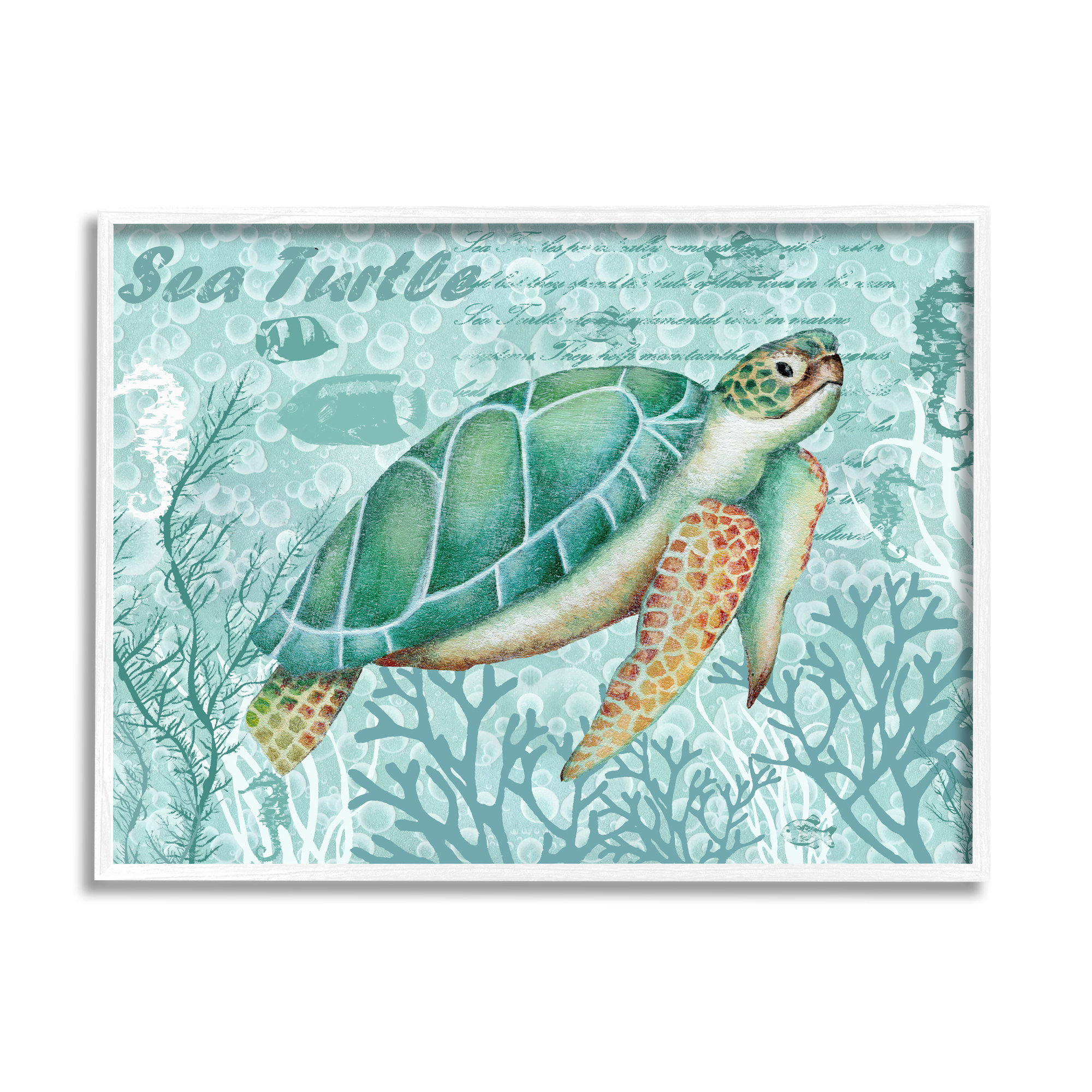 Stupell Industries Coral Bordered Sea Turtle Seahorse Script ...