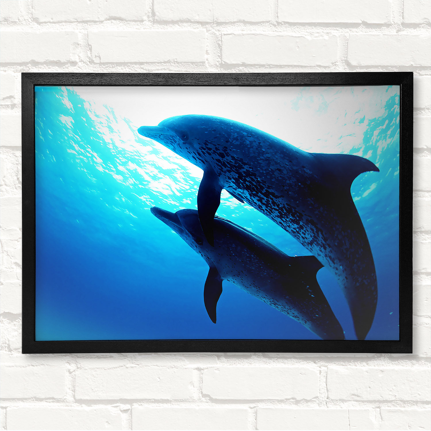 House of Hampton Dolphins Under The Sea Framed Print | Wayfair.co.uk