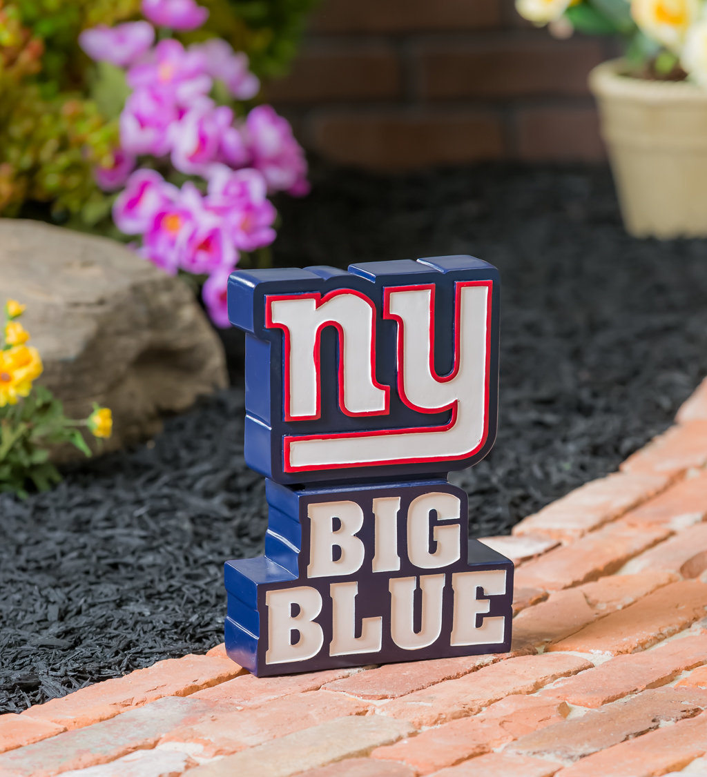 Evergreen Enterprises, Inc NFL Mascot Statue & Reviews | Wayfair