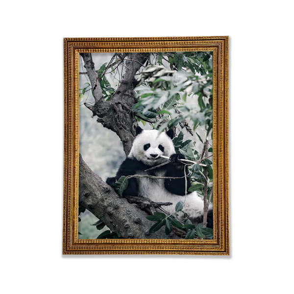 Ebern Designs Panda Tree Lover - Single Picture Frame Art Prints ...