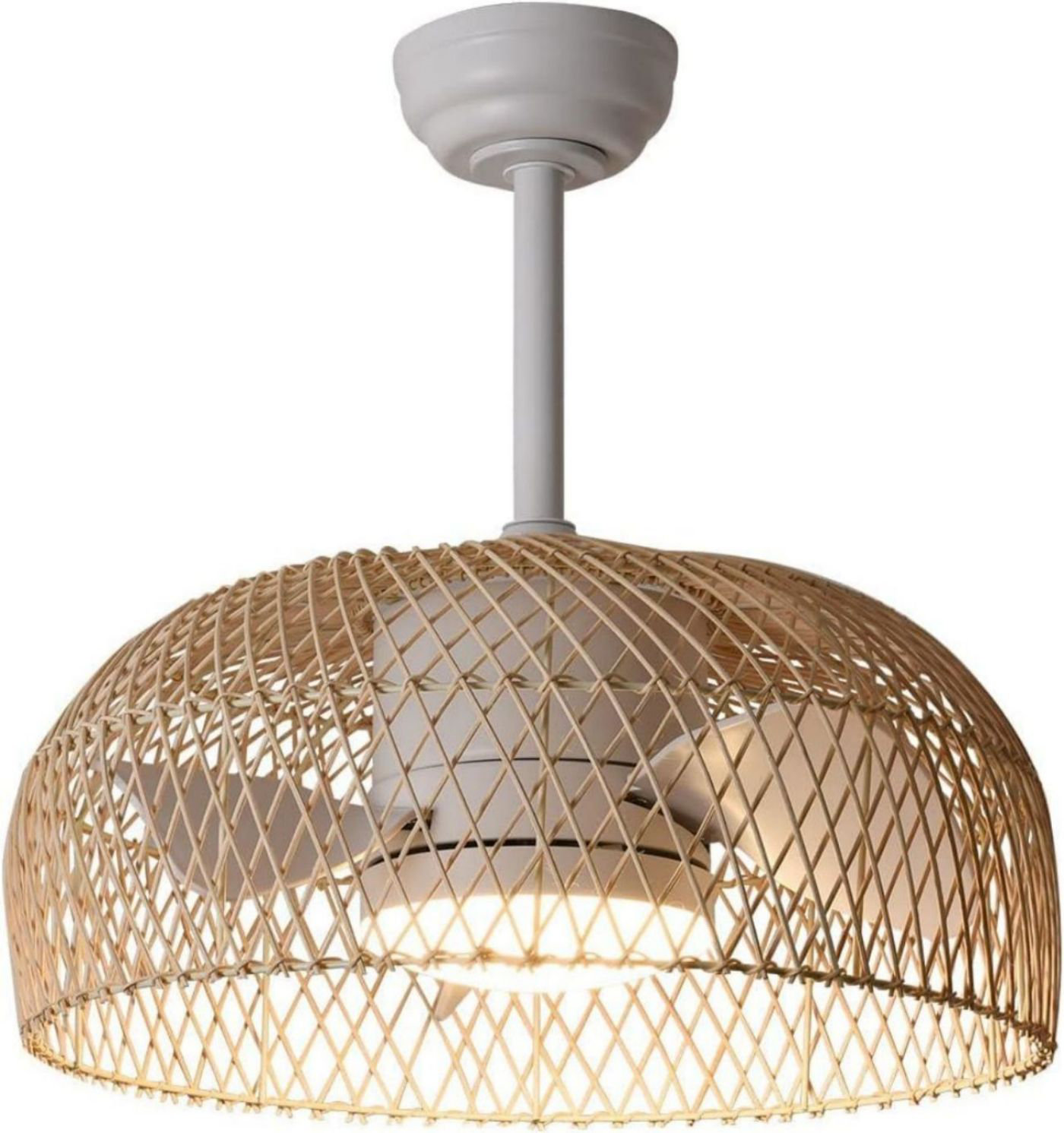 Bay Isle Home™ Rivenbark 15.7'' Ceiling Fan with LED Lights | Wayfair