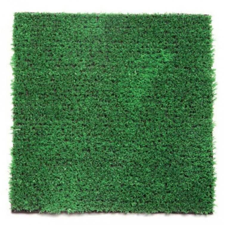 Dakota Fields Arisha Synthetic Turf Rug and Roll | Wayfair.co.uk