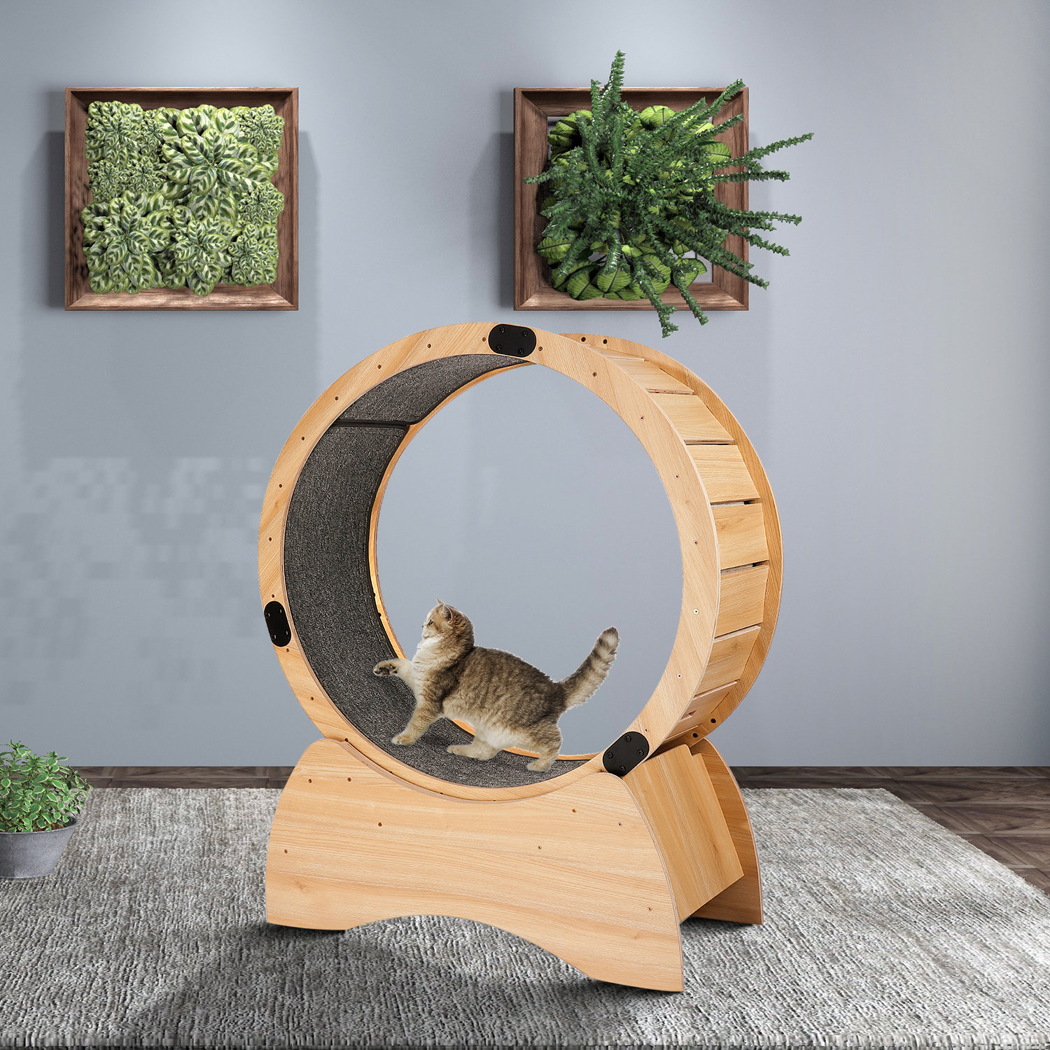 Tucker Murphy Pet™ Tenley Cat Perch | Wayfair