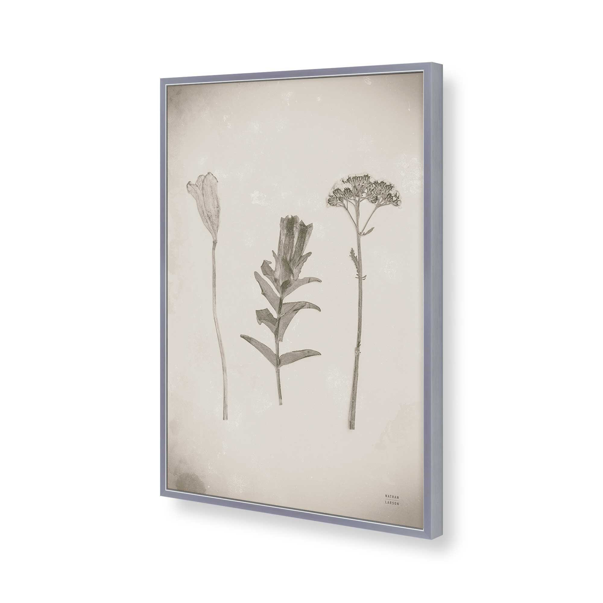 WayArt Wildflower Journal Vintage X by Nathan Larson Art Print | Wayfair