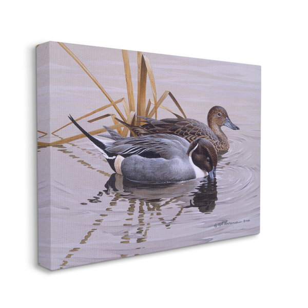 Ebern Designs " Ducks With Pond Ripples " by Rod Lawrence - Wayfair Canada