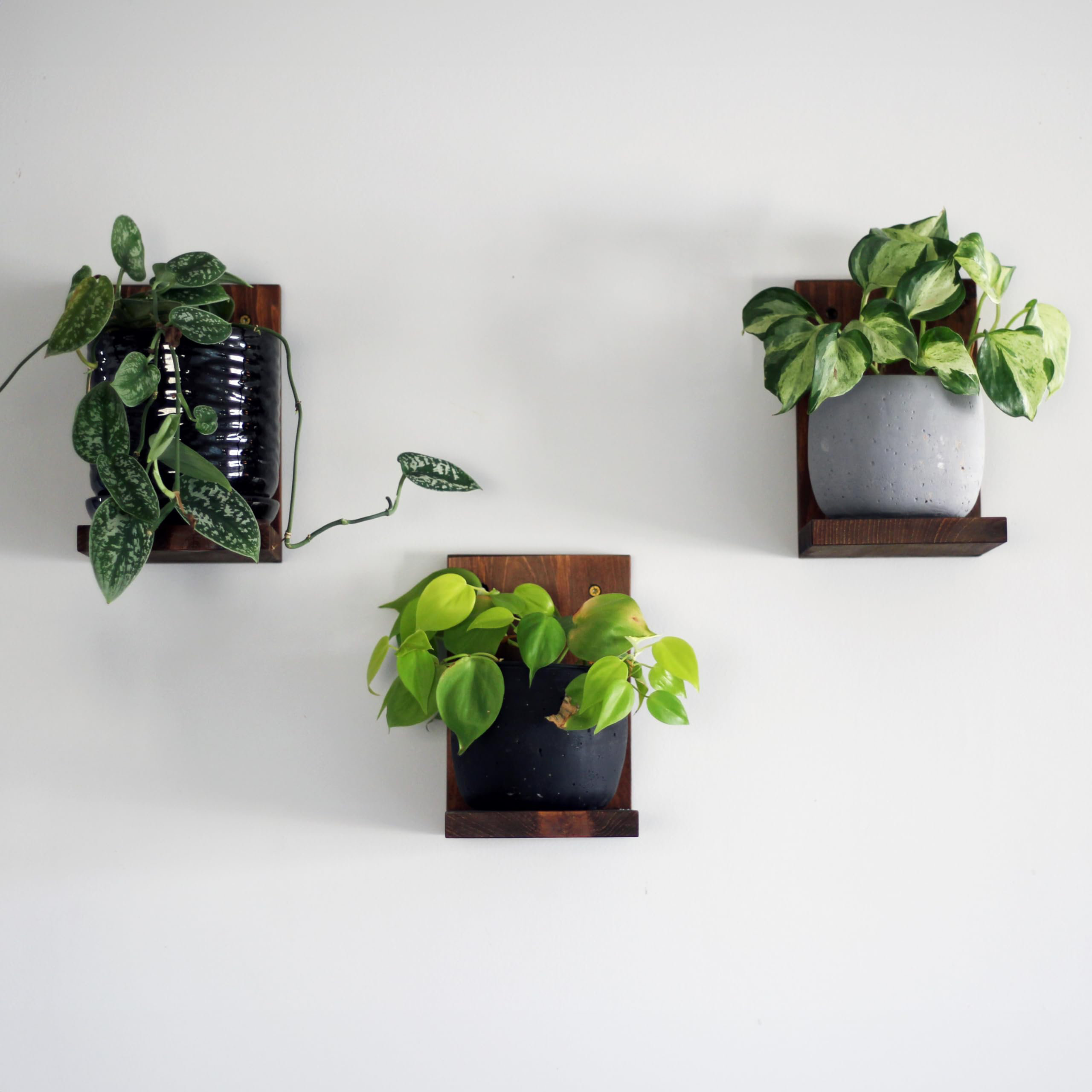 Corrigan Studio® 3-Pack Indoor Plant Wall Shelf Kit | Midcentury Modern ...