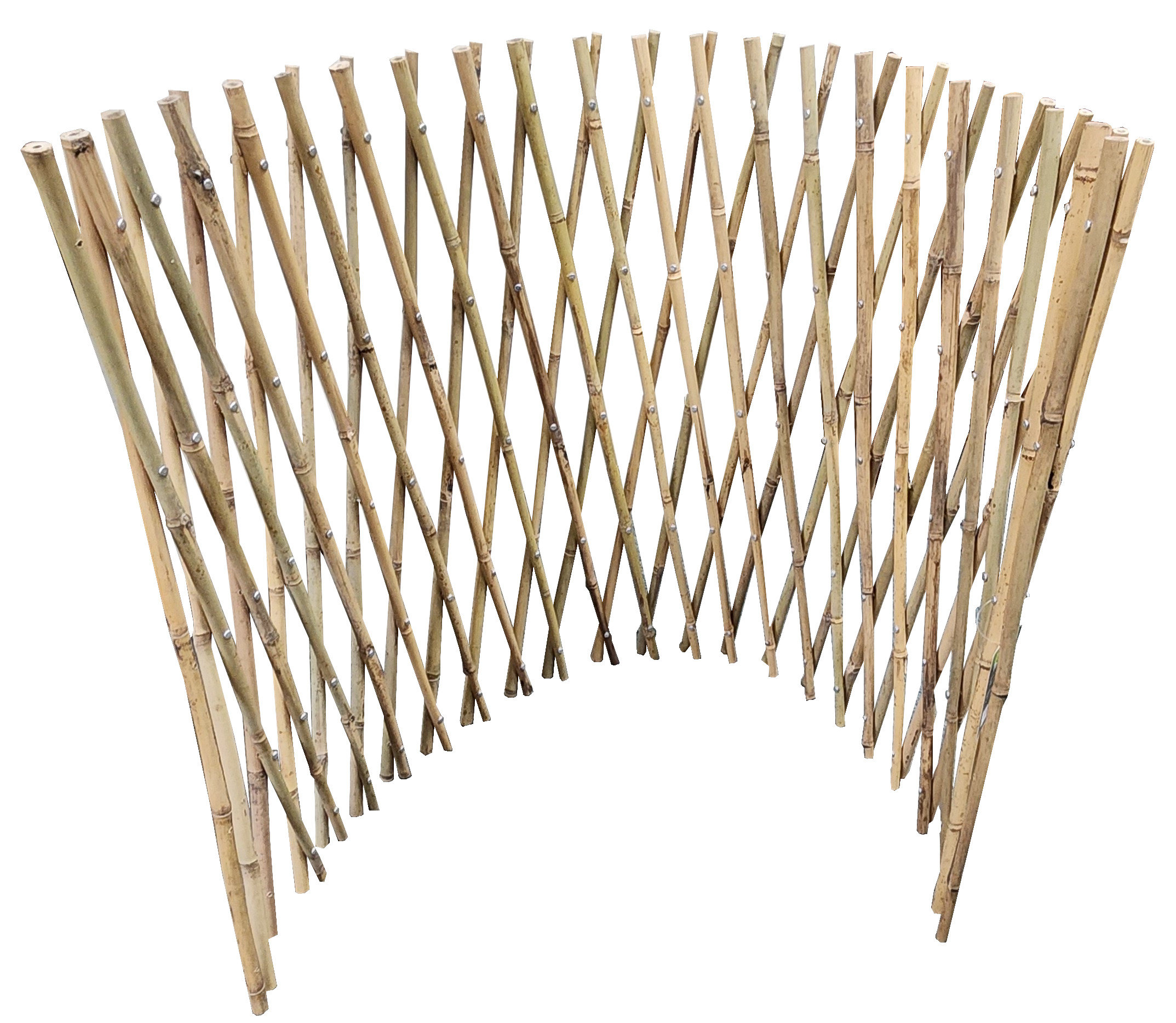MGP 24" H Flexible Bamboo Fence Trellis | Wayfair