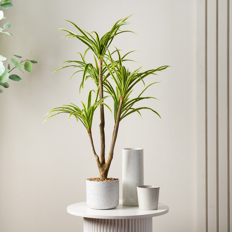 Latitude Run 90cm Faux Yucca Tree in Pot | Wayfair.co.uk