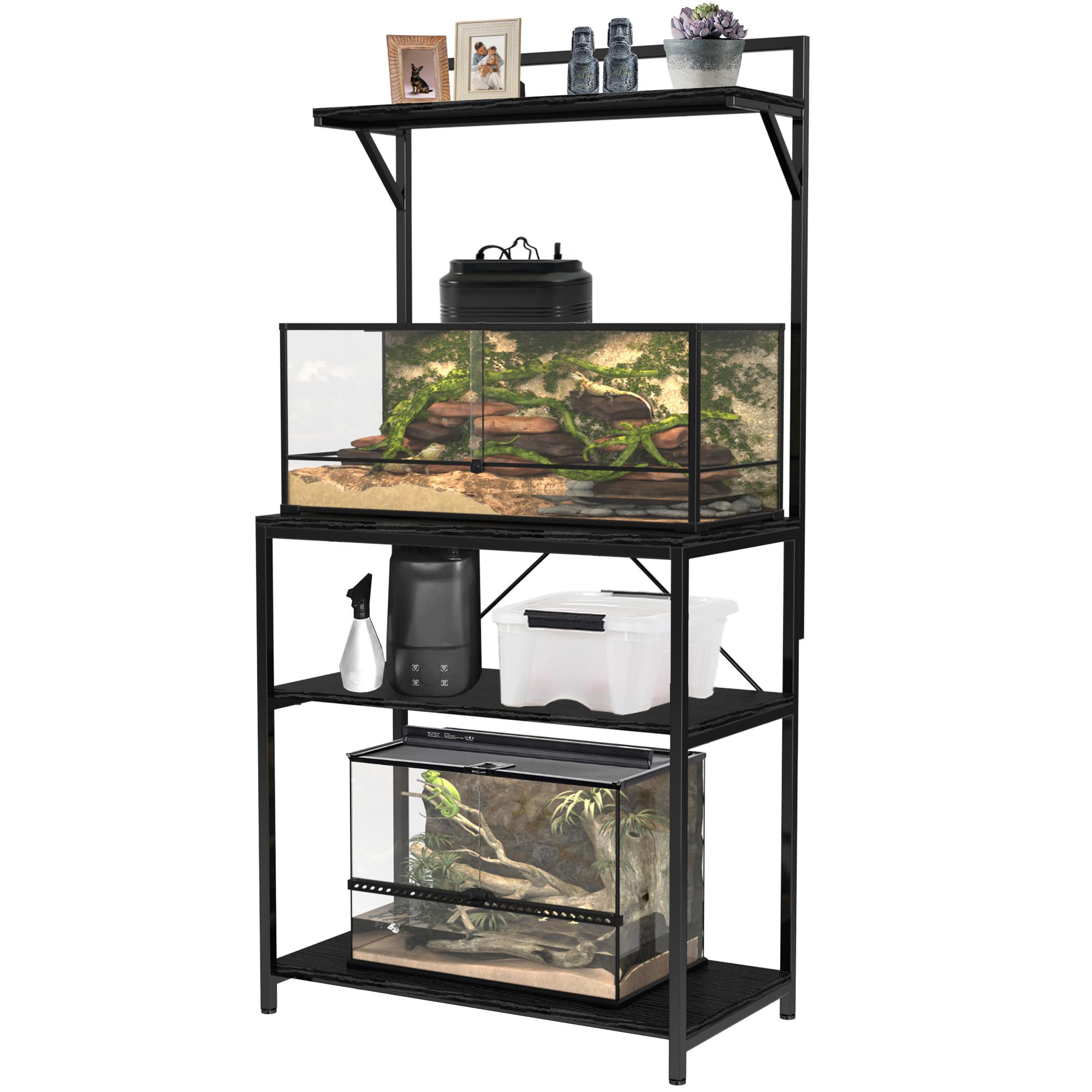 Archie & Oscar™ 20-29 Gallon Fish Tank Stand With Plant Shelf, Aquarium ...