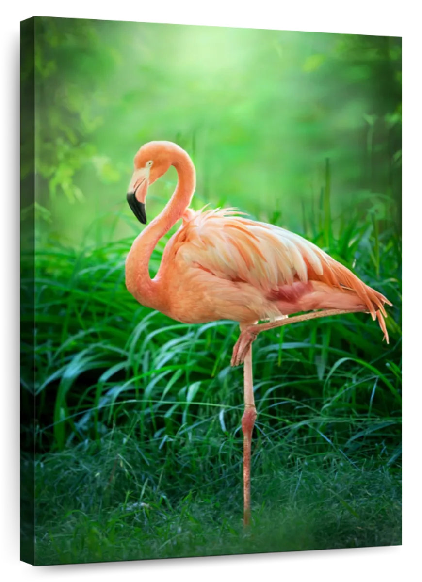 Millwood Pines Flamingo Balance | Wayfair