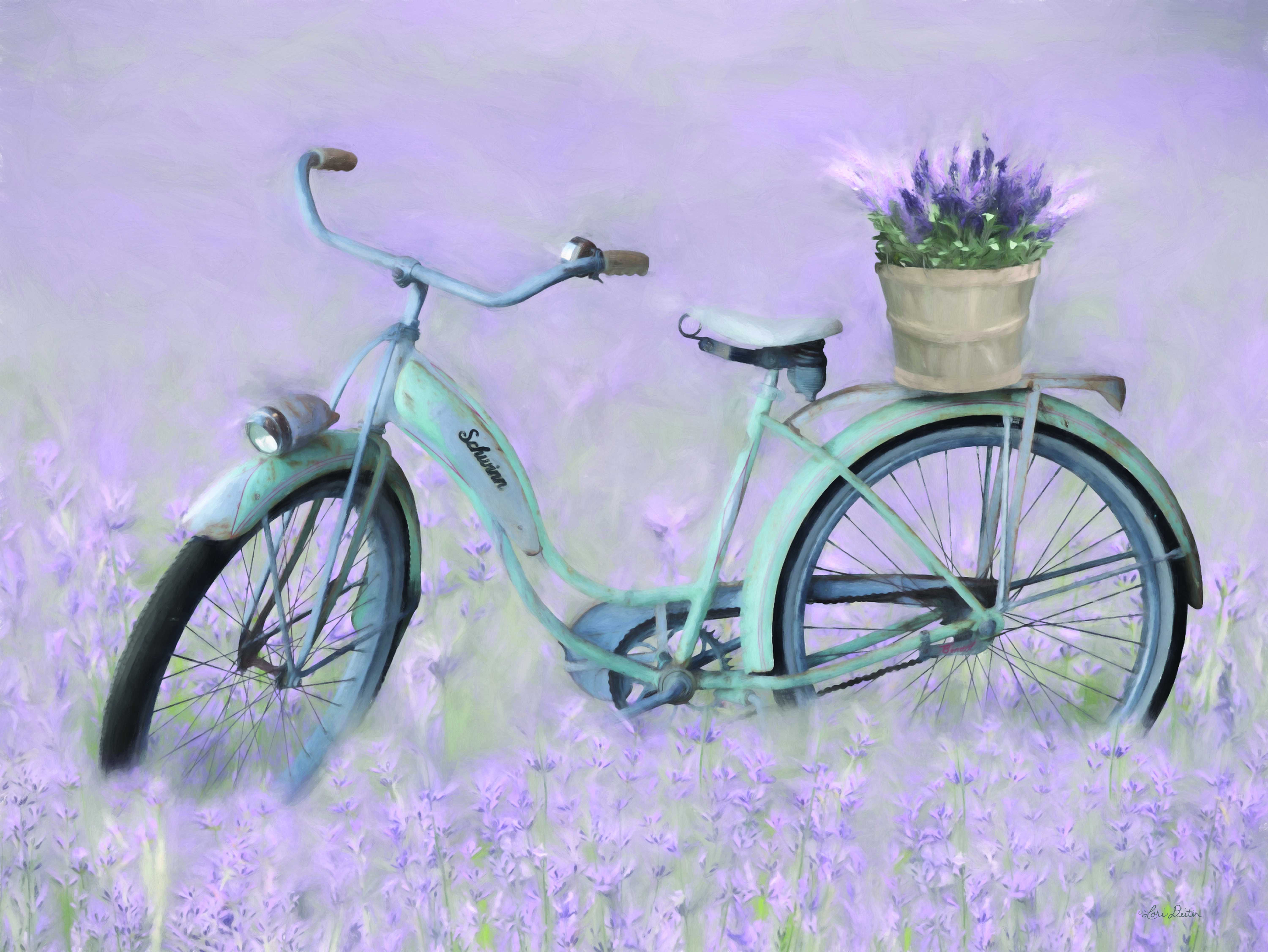 August Grove Bicycle In Lavender - Wayfair Canada