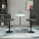 Williston Forge Harri Swivel Adjustable Height Stool & Reviews ...