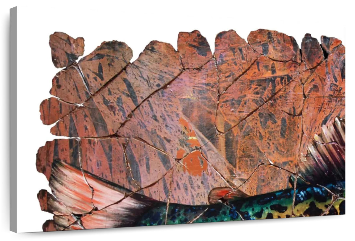 Ebern Designs Fresco Red Trout White Background | Wayfair