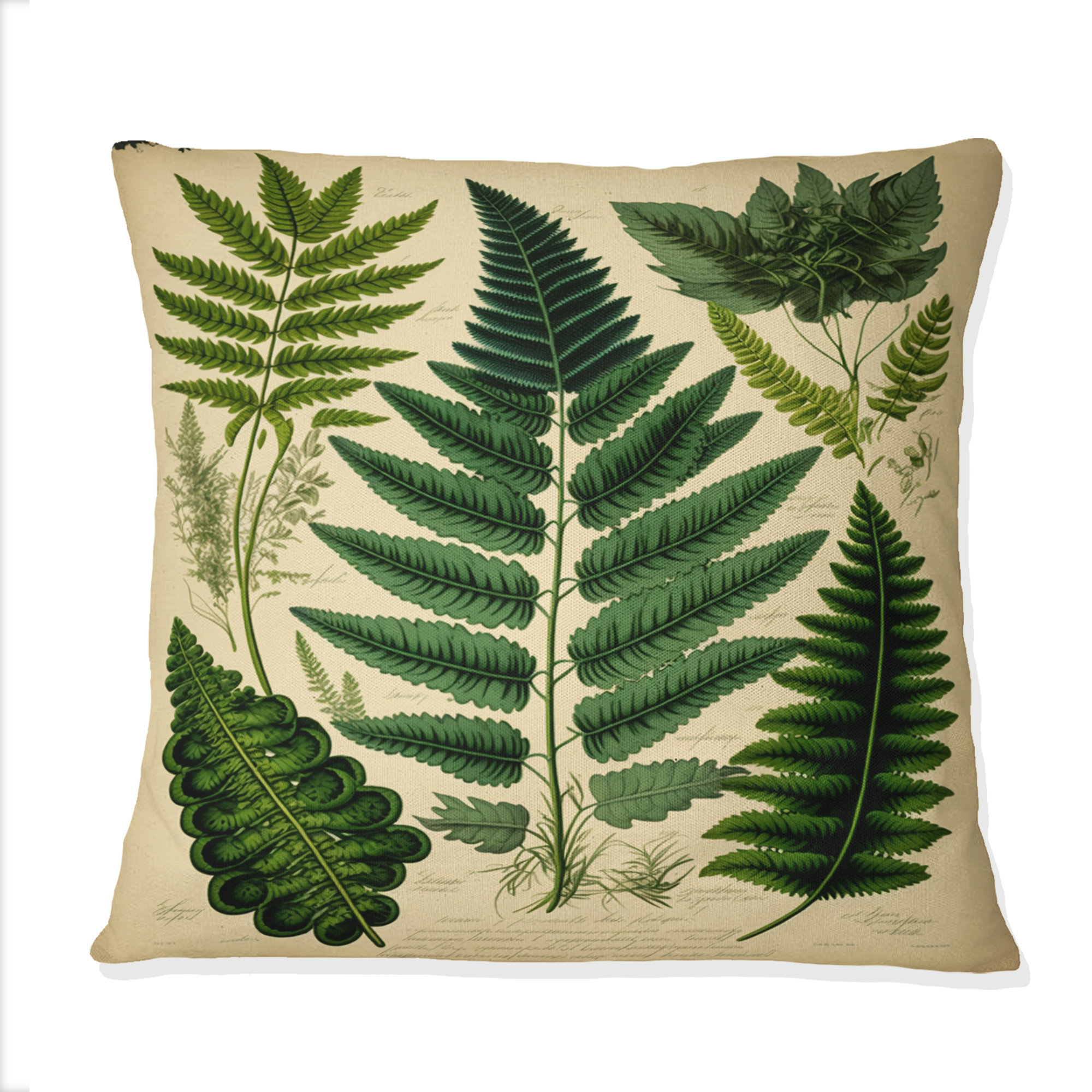 Design Art Fern On Retro Victorian Chart VII - Ferns Printed Throw ...