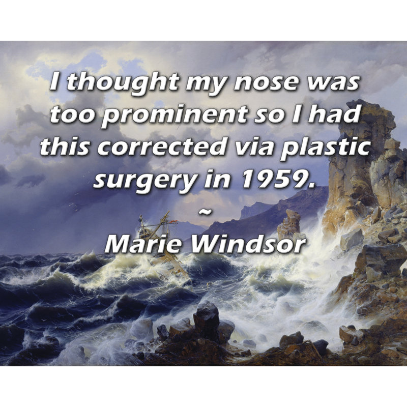 plastic surgery windsor