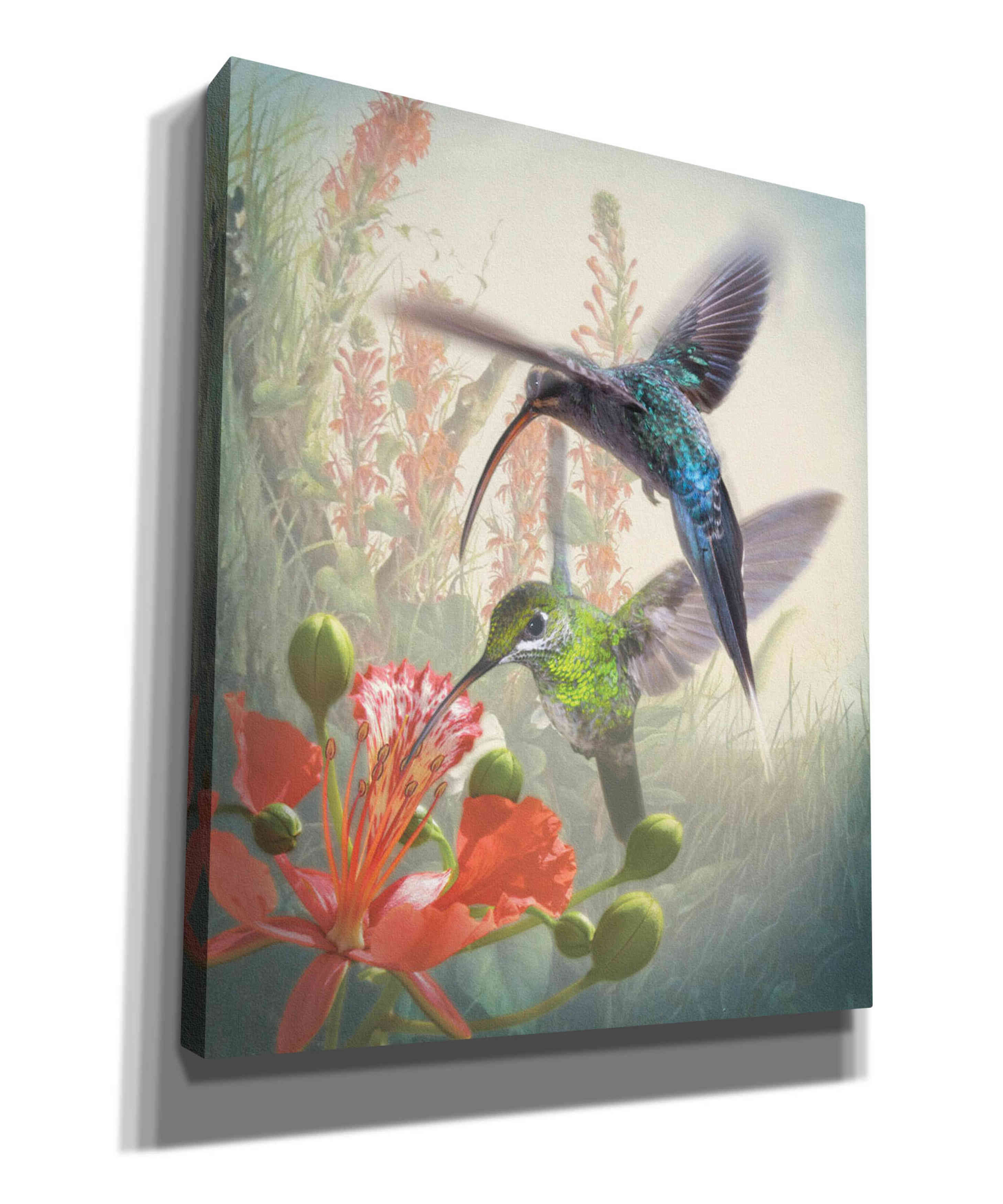 Epic Graffiti 'Hummingbird Cycle I' By Steve Hunziker, Canvas Wall Art ...