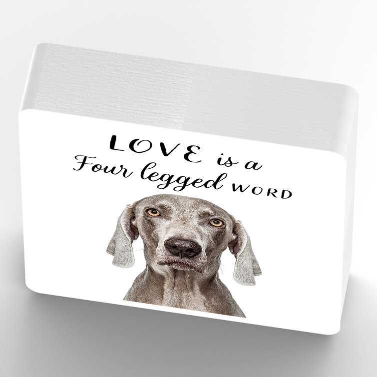 Happy Larry Satsuma Animals Decorative Slates | Wayfair.co.uk