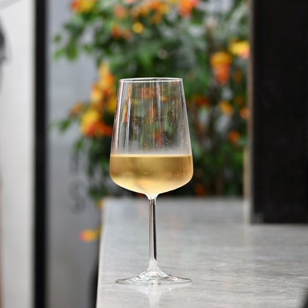 Bormioli Rocco Riserva 18.5oz. Red Wine Glass Set - Wayfair Canada