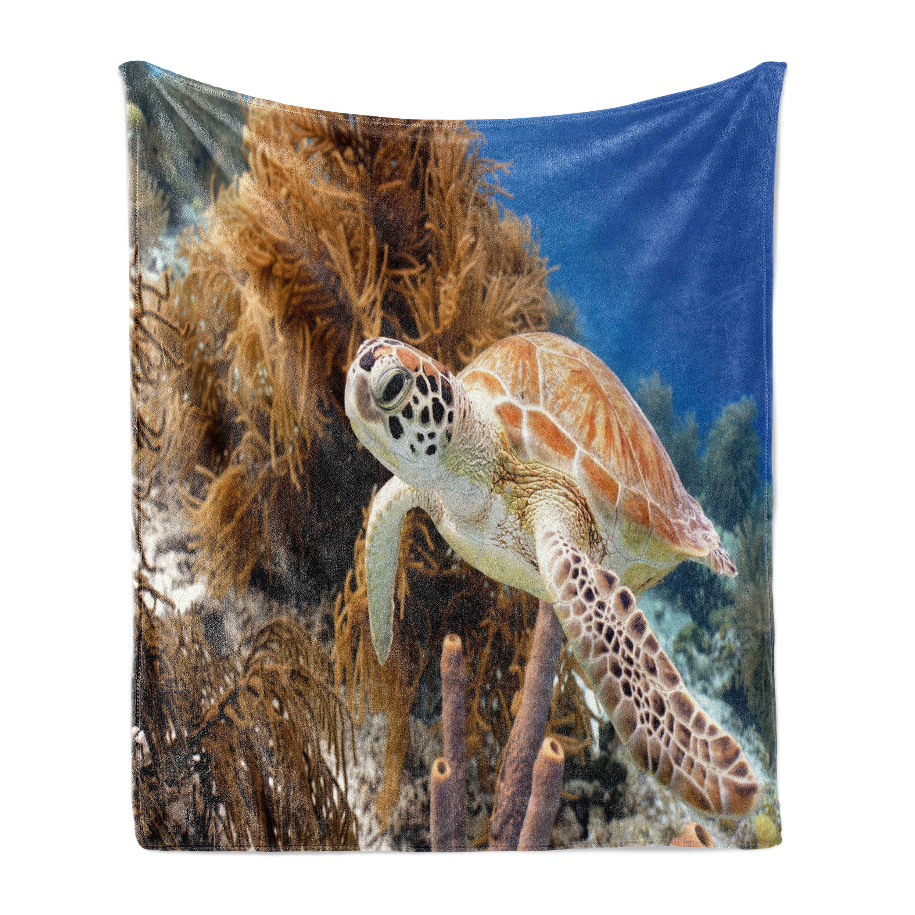 Ambesonne Turtle Fleece Throw Blanket Tropic Waters Coral Reef Pale ...