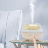 Essential Oil Diffusers - Wayfair Canada