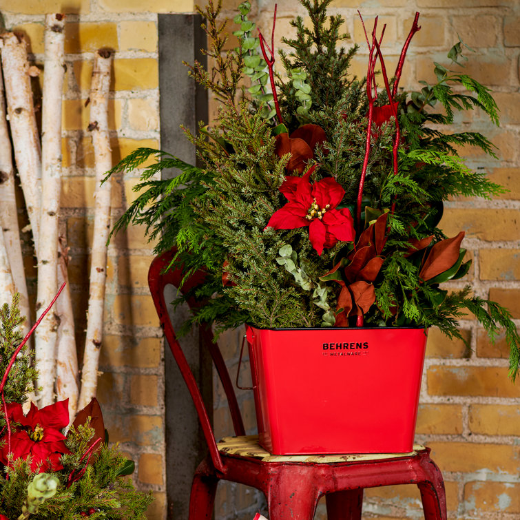 Behrens Metal Bucket & Reviews | Wayfair