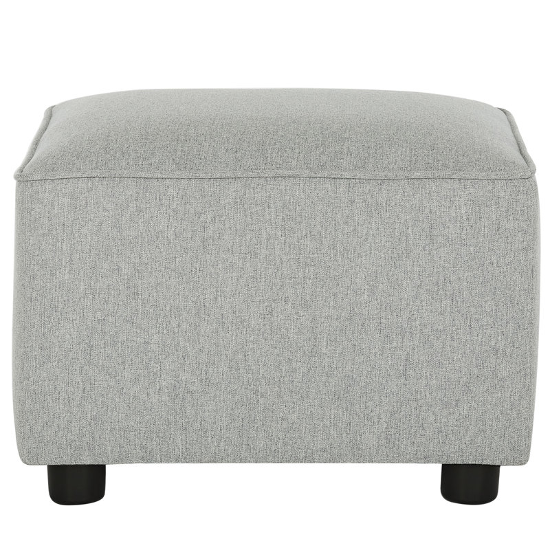 Latitude Run® 20" Wide Rectangle Footstool Ottoman & Reviews | Wayfair