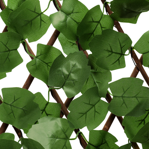 UIXE Pacifa 50'' H x 32'' W Single Side Expandable Faux Hedge ...