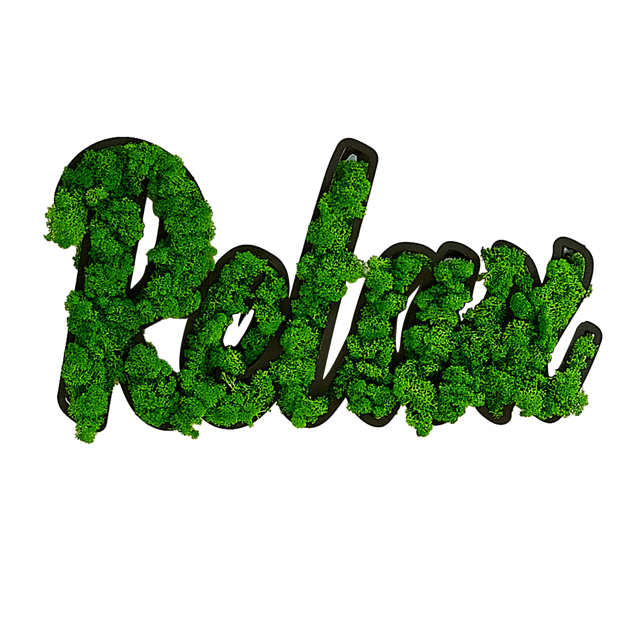 Gracie Oaks RELAX Letter Art Moss Wall Decor - Wayfair Canada