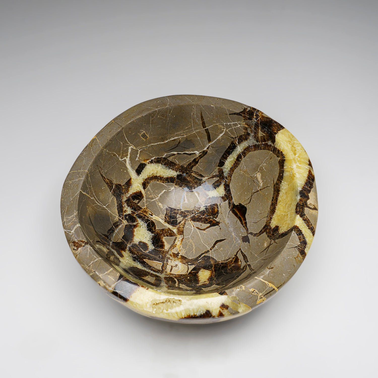 Astro Gallery of Gems Genuine Polished Septarian Bowl from Madagascar ...