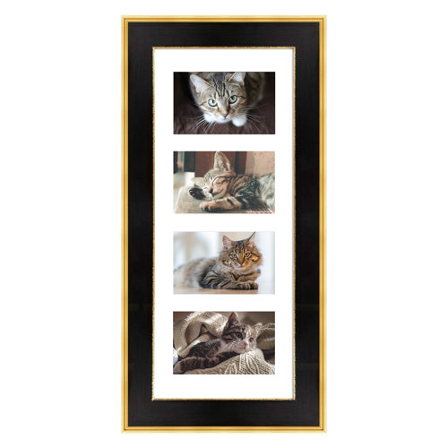 Wayfair | Mercer41 Picture Frames You'll Love in 2023