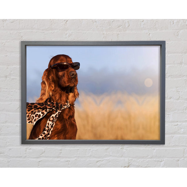 Bright Star Glamorous Irish Setter Dog - Single Picture Frame Print on ...