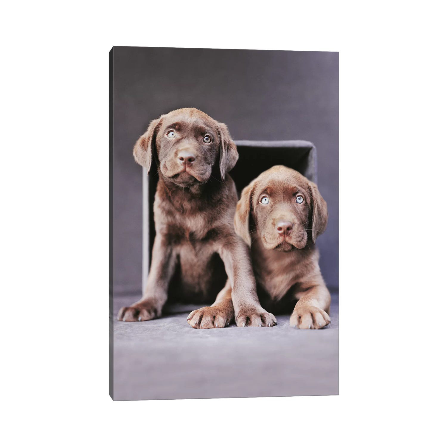 East Urban Home Yardan and Yosemite - Wrapped Canvas Photograph Print ...