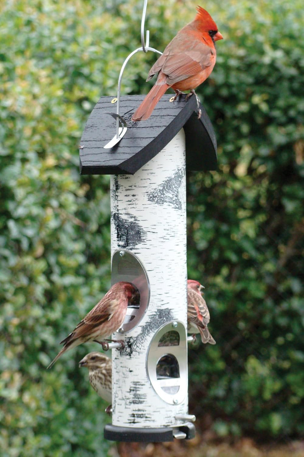 One Allium Way Birch Log Design Bird Feeder With Squirrel-Proof Shields ...