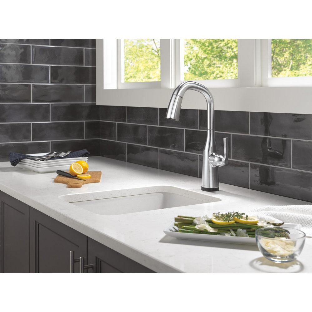 Delta Touch2O Bar / Prep Faucet with Touchless Technology & Reviews ...