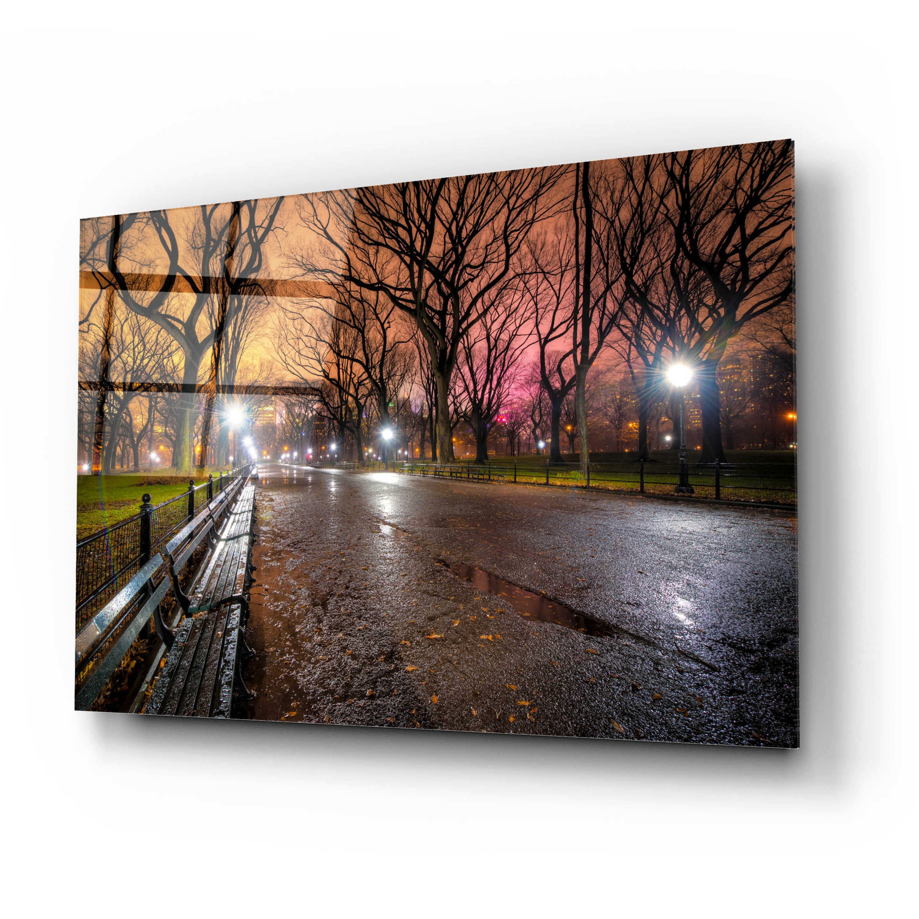 Latitude Run® 'The Crying Park' By Edin Chavez, Acrylic Glass Wall Art ...