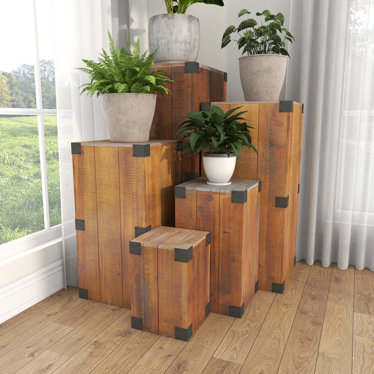 Gracie Oaks Harland 5 Piece Pedestal Plant Stand Set & Reviews ...