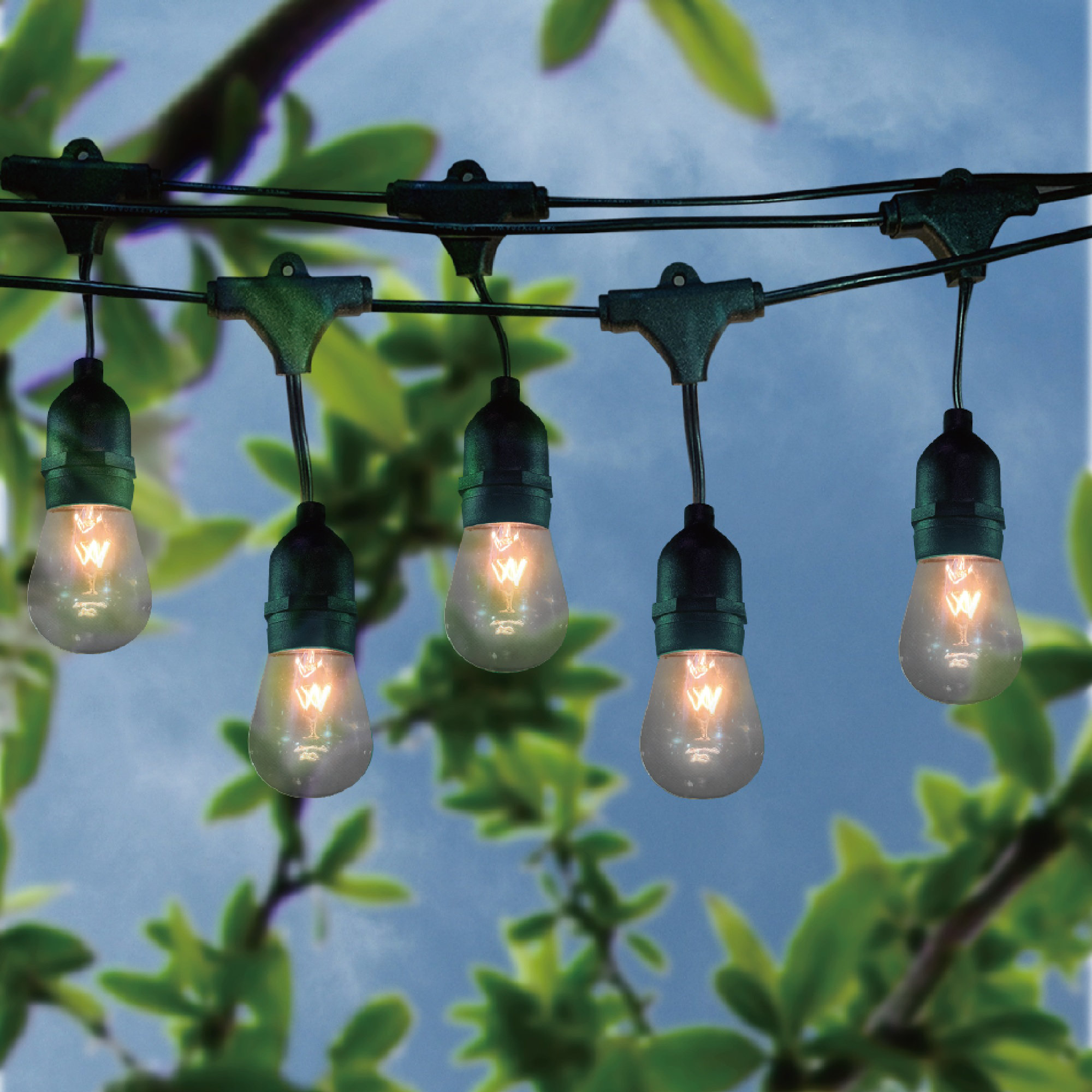 The Holiday Aisle® Vintage 12 Light String Lights | Wayfair