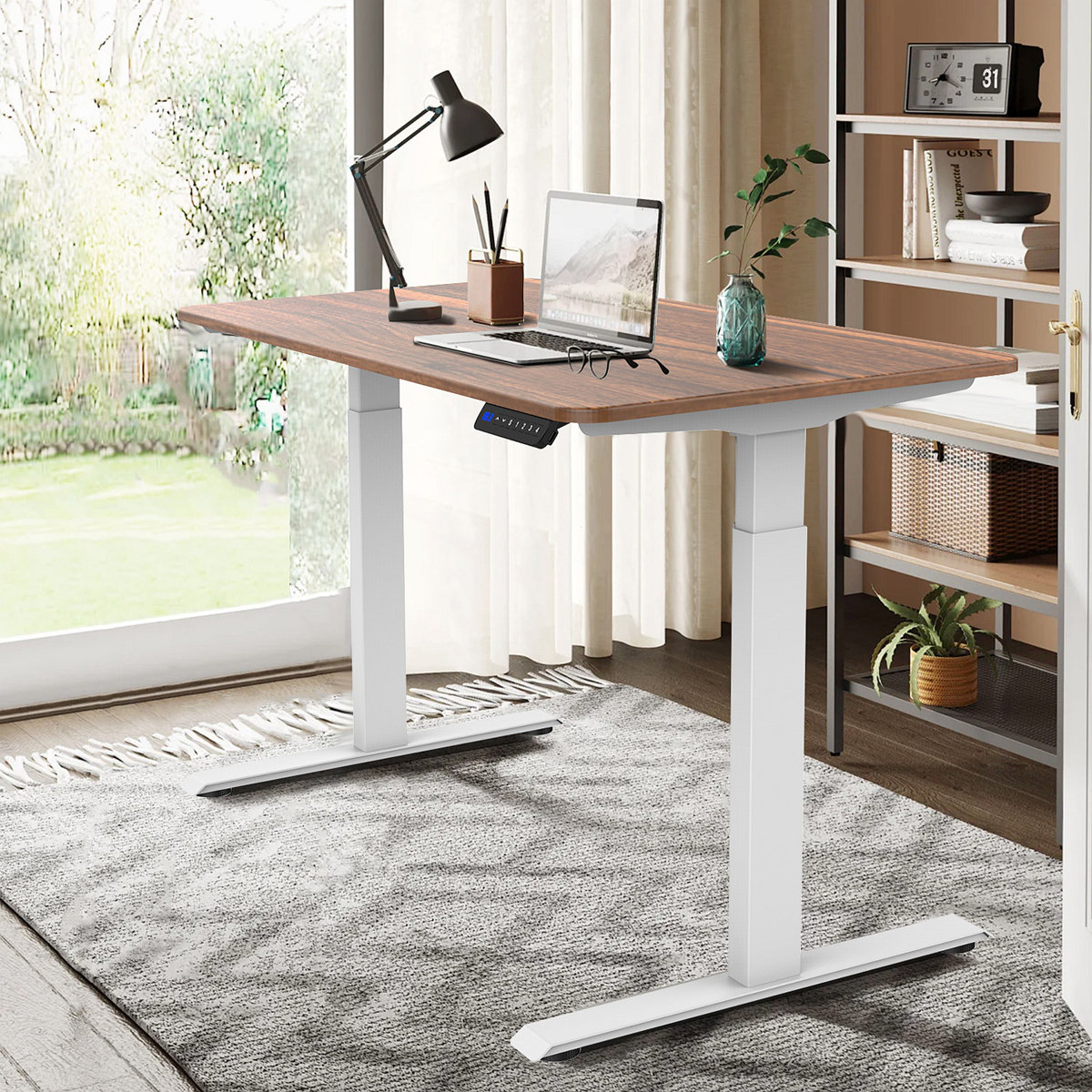 Home Decor Electric Standing Desk with Dual Motor Height Adjustable Sit ...