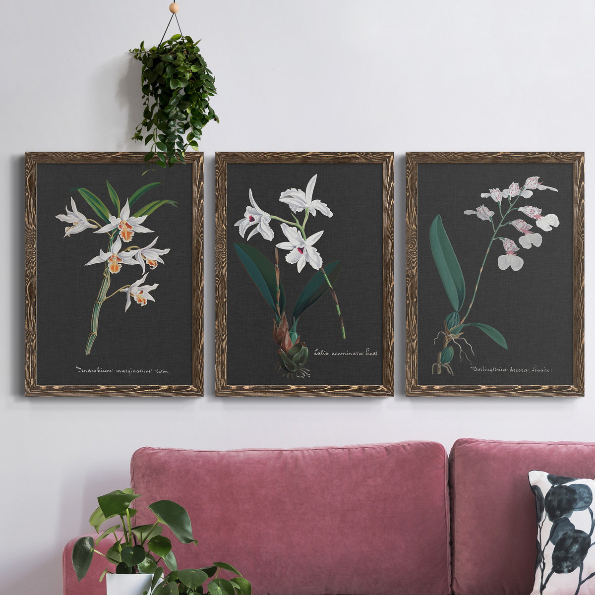 Red Barrel Studio Gilded Toiletries III - 3 Piece Picture Frame ...