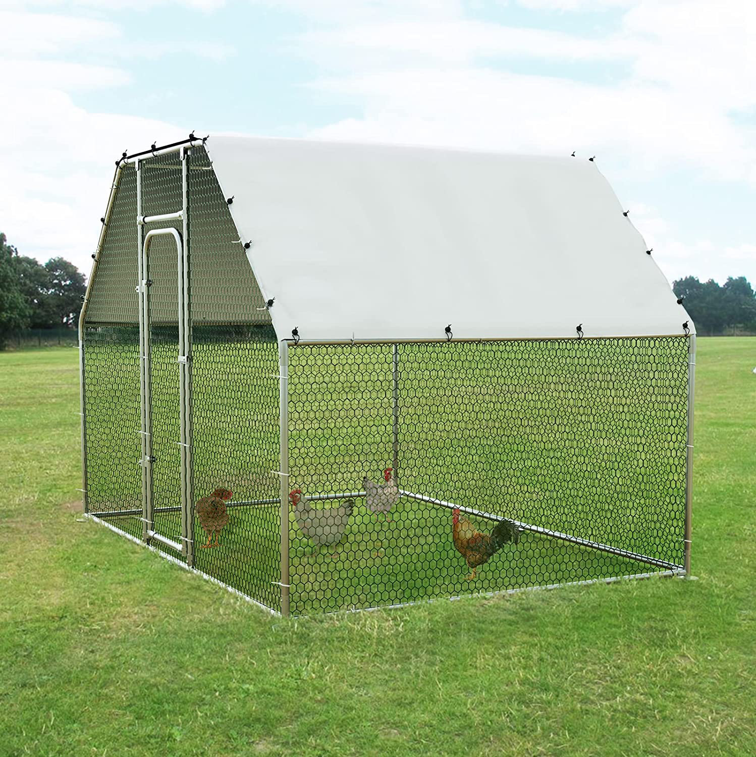 Archie & Oscar™ Brightling Chicken Run with Wire Mesh & Reviews | Wayfair