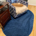 Latitude Run® Solid Color Rug & Reviews | Wayfair